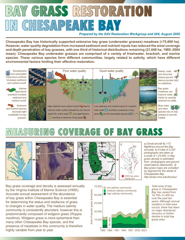 Bay Grass Restoration in Chesapeake Bay | Publications | Integration ...
