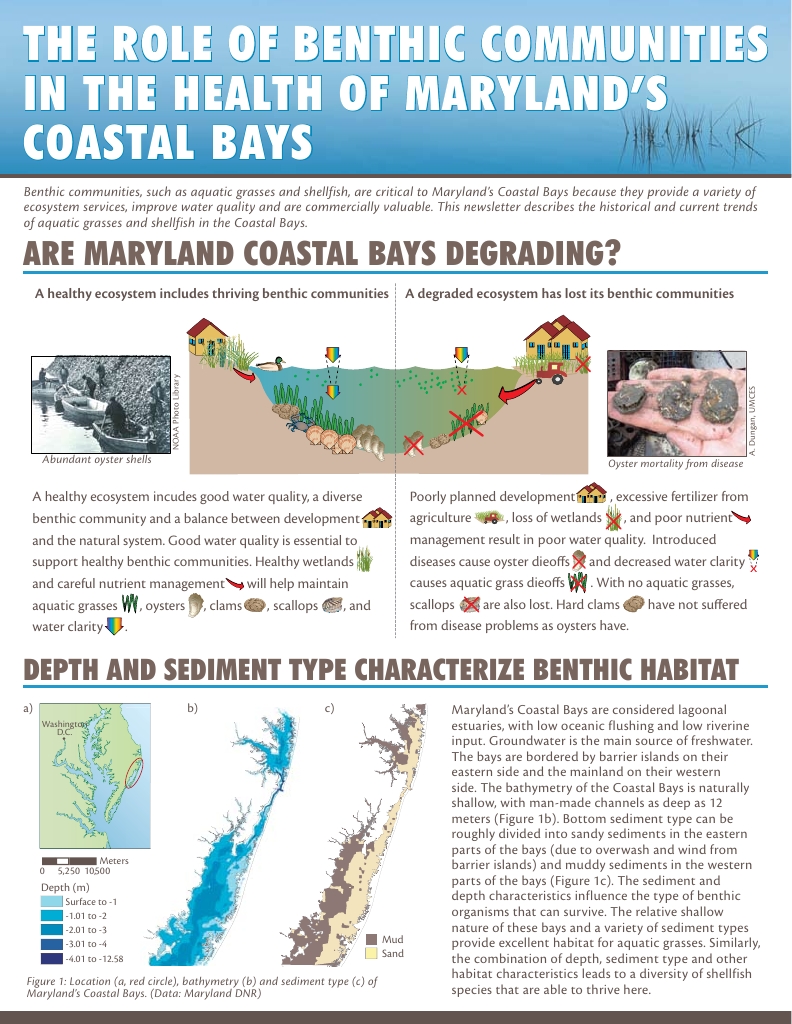 The role of benthic communities in the health of Maryland's Coastal ...