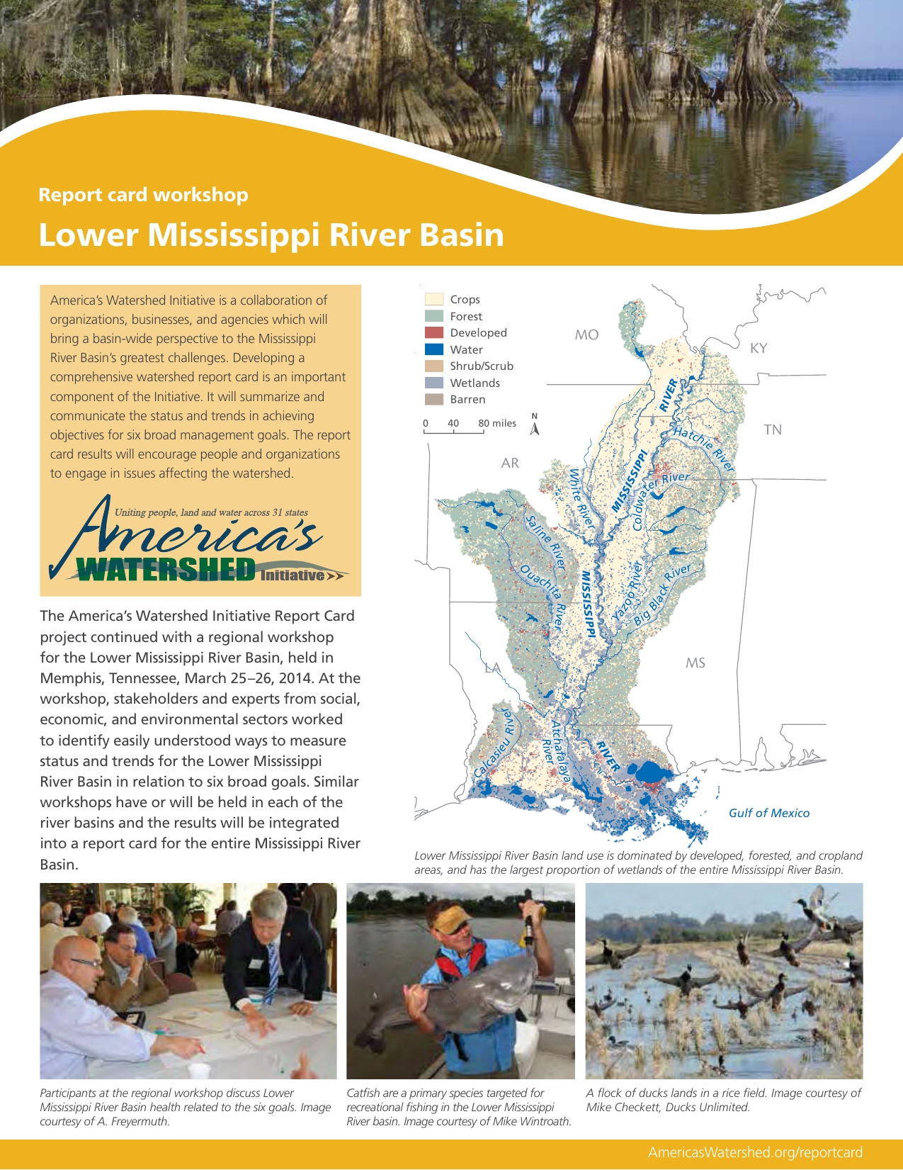 Lower Mississippi River Basin report card workshop newsletter ...
