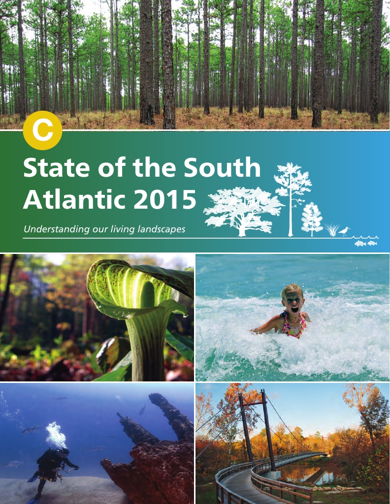 State of the South Atlantic 2015 | Publications | Integration and ...