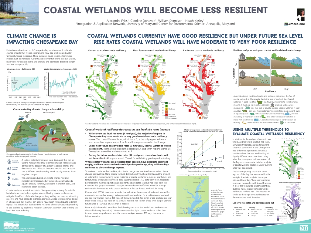 Coastal wetlands will become less resilient | Publications ...