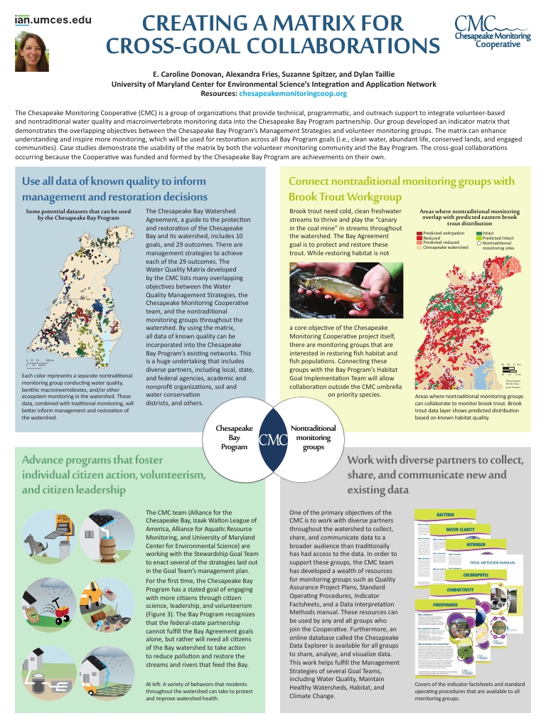 Creating a matrix for cross-goal collaborations | Publications ...