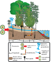 IAN Symbols used in winning poster at MEES Colloquium | Enewsletter ...