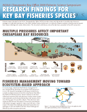 Research findings for key bay fisheries species | Enewsletter ...