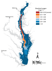 2011 Chesapeake Bay dissolved oxygen forecast | Enewsletter ...