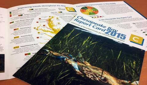 Environmental report card production | Work with Us | Integration and ...