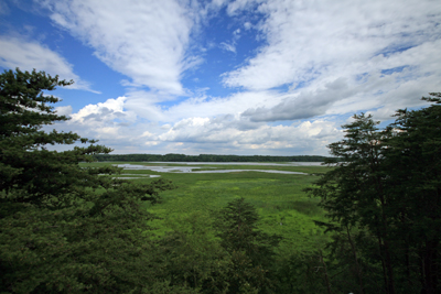 Paddling the Patuxent River | Blog | Integration and Application Network