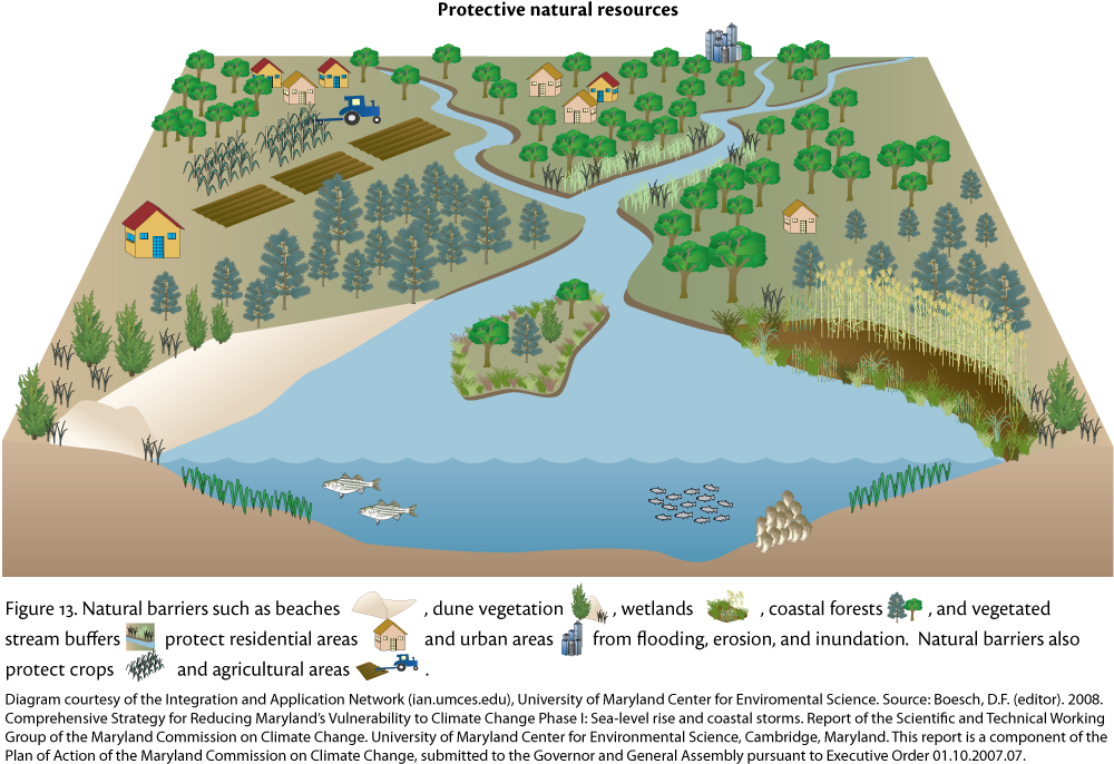 Protecting Natural Resources