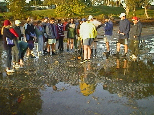 Experiential education: Changing the way we teach | Blog | Integration ...