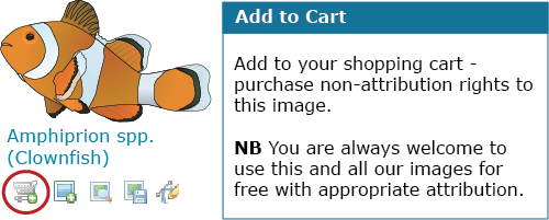 Non-attribution rights to IAN symbols and images now available | Blog ...