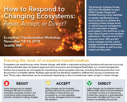 Ecosystem transformation | Enewsletter | Integration and Application ...