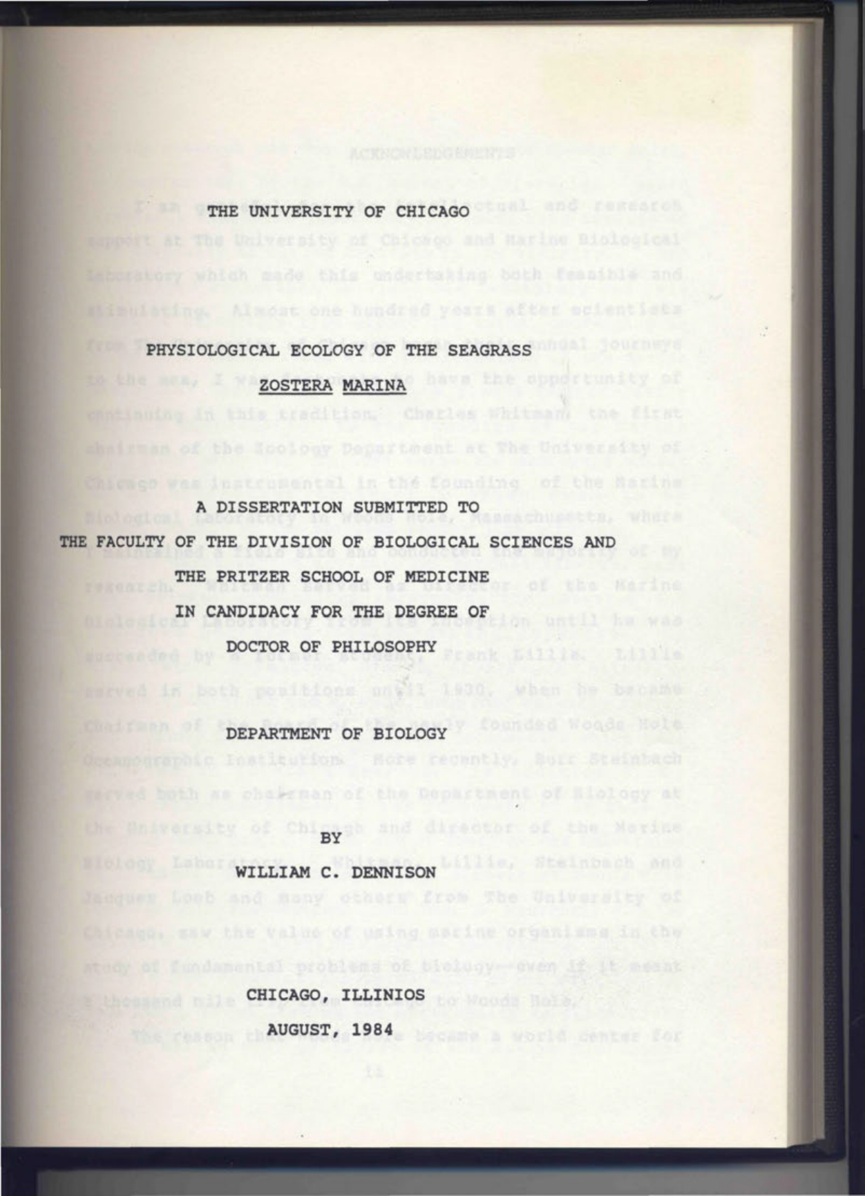 Physiological ecology of the seagrass Zostera marina | Publications ...