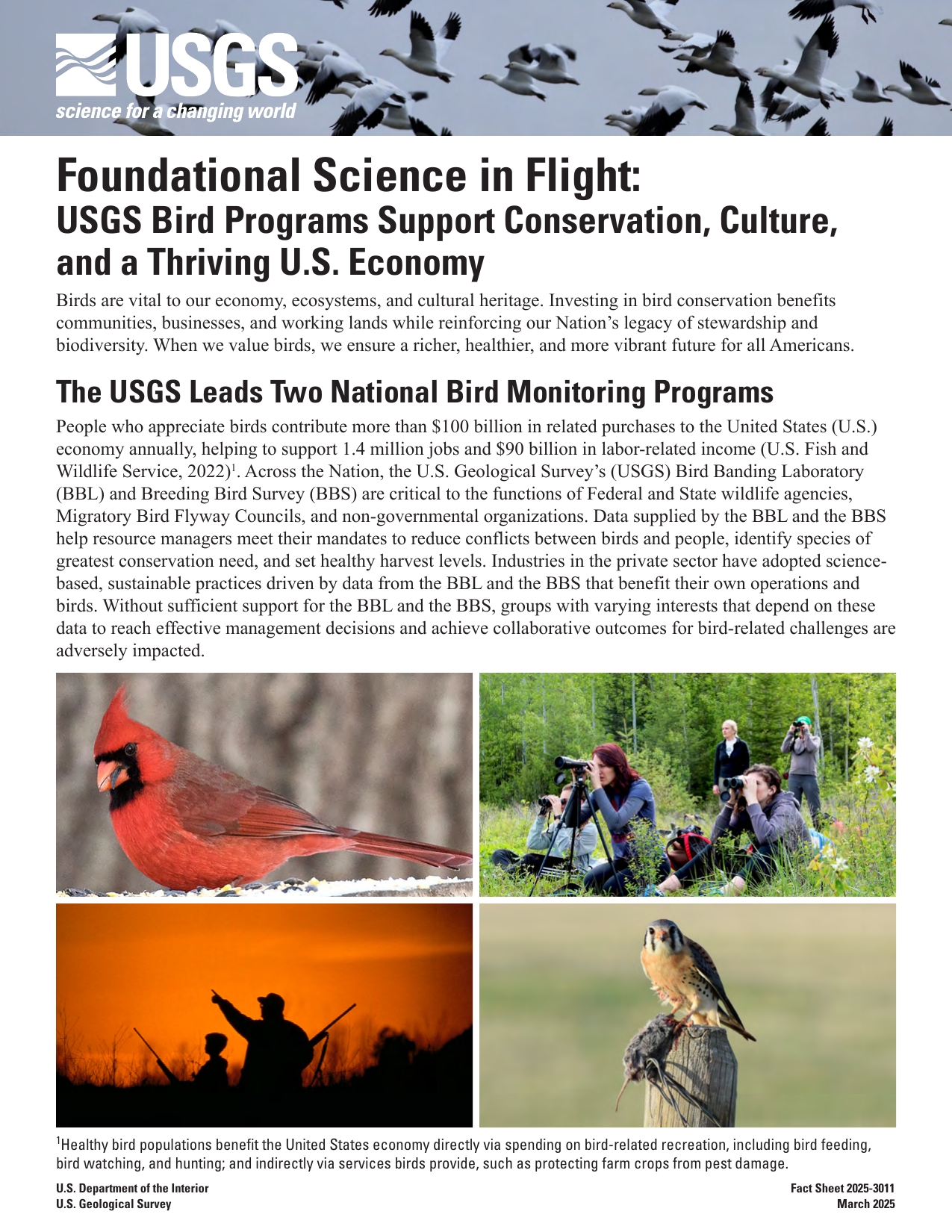 Foundational Science in Flight: USGS Bird Programs Support Conservation ...