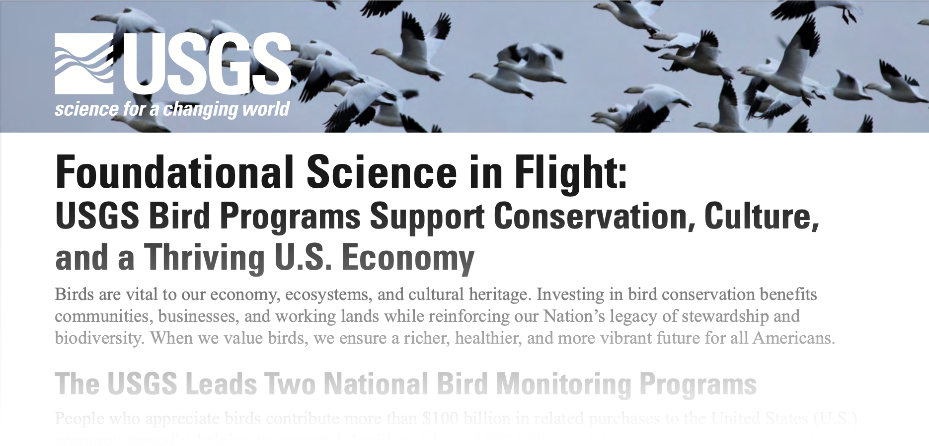 Highlighting USGS's Critical Bird Monitoring Programs | Enewsletter ...