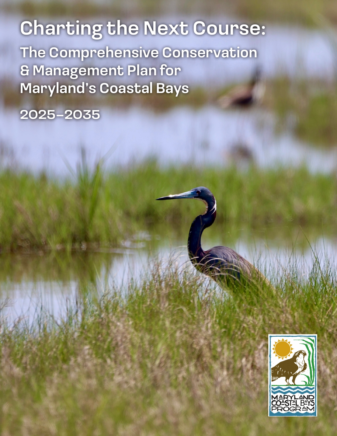 Charting the Next Course: The Comprehensive Conservation & Management Plan for Maryland's ...