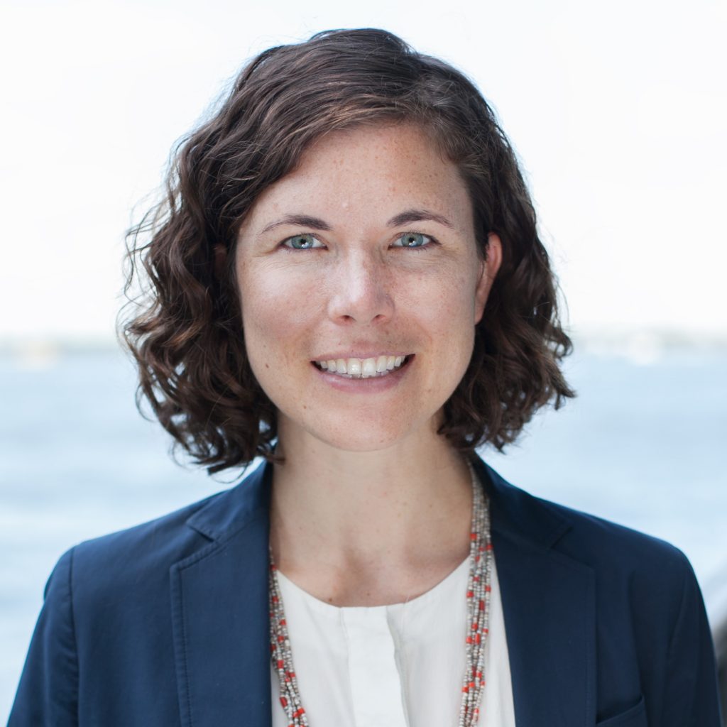 Kate Boicourt | About | Integration and Application Network