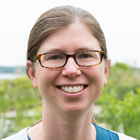 Rebecca Murphy | About | Integration and Application Network