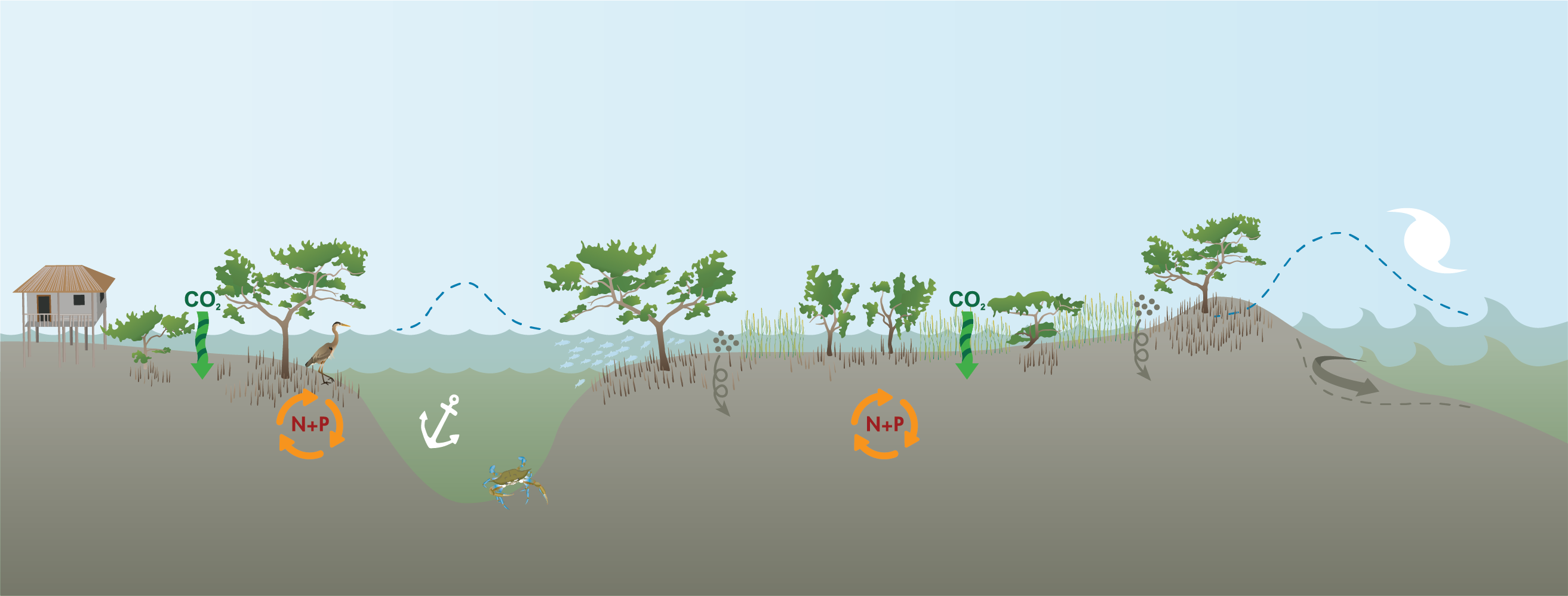 The Water Institute of the Gulf: Creation of conceptual diagrams ...